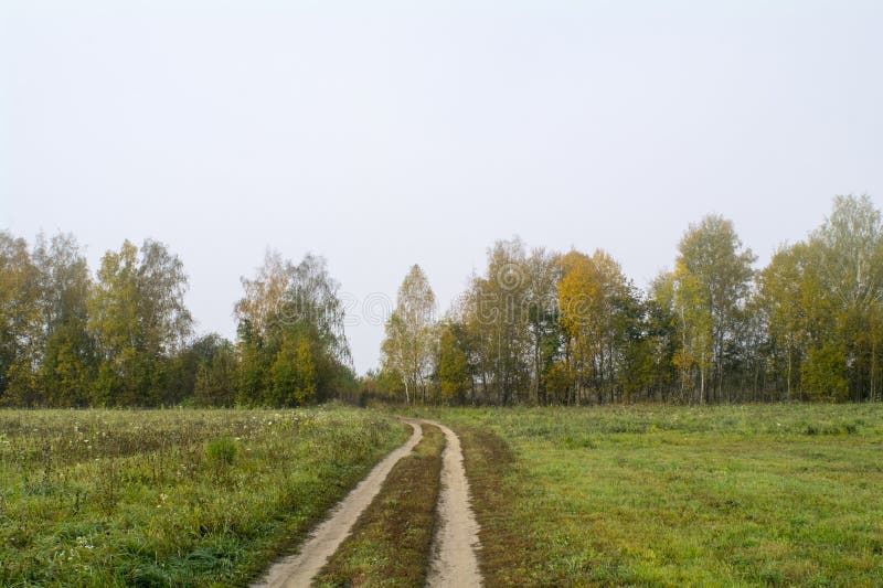 Fields and Forests in the Fall in Central Russia - Country Road Running ...