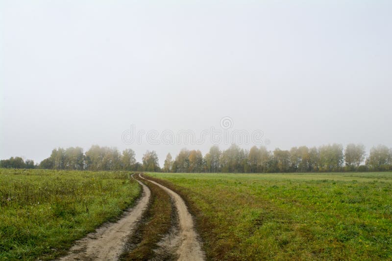 Fields and Forests in the Fall in Central Russia - Country Road Running ...