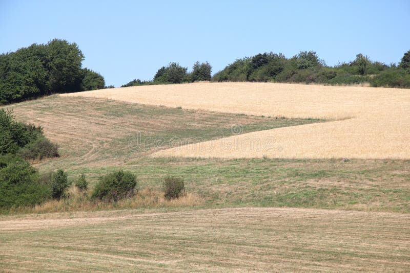 Fields and forests stock image. Image of forest, agriculture - 70265099