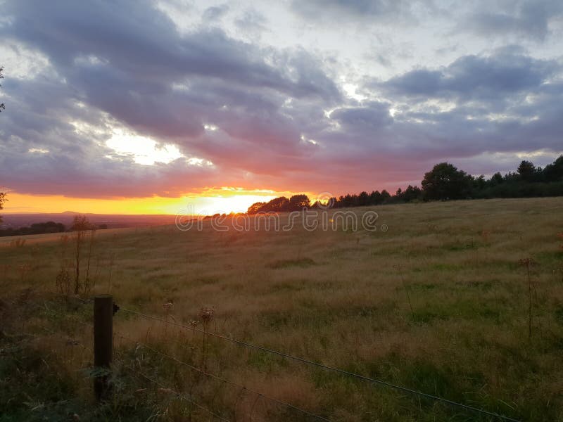 Fields of Gold stock photo. Image of gold, field, alentejo - 14066918