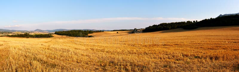 Fields after harvest stock photo. Image of panorama, grass - 33856482