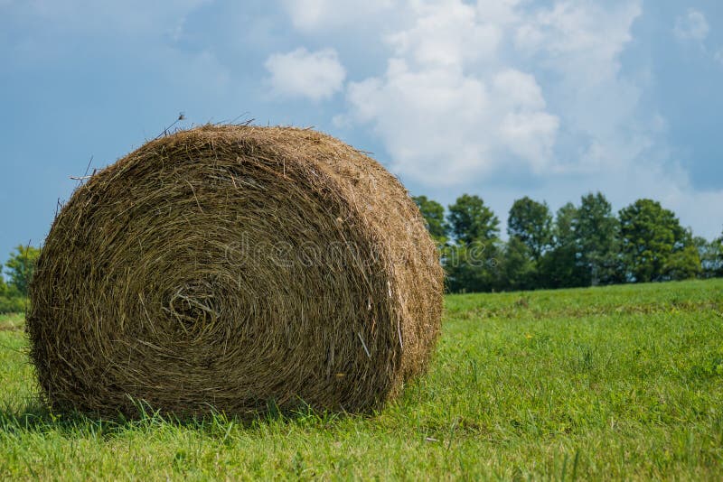 Fields of Hay stock image. Image of countryside, outdoor - 61756099