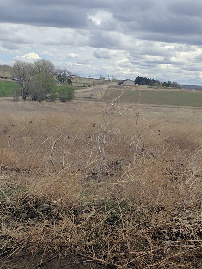 Open fields stock photo. Image of scene, country, open - 113831996