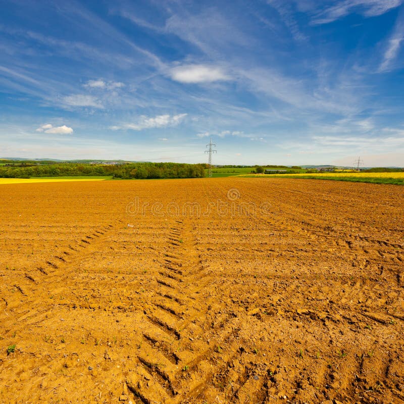 Fields stock image. Image of german, cultivated, line - 60007393