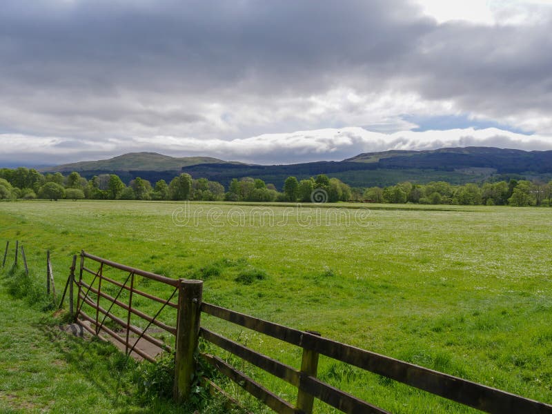 Fields in Highlands, Scotland Stock Photo - Image of europe, seat ...