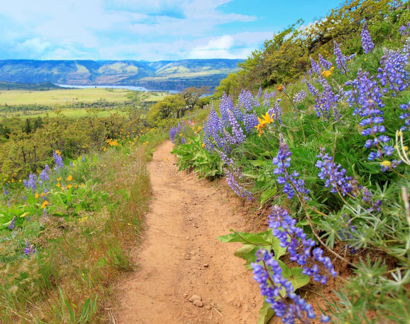 Fields, Hills, River and Mountains Landscape. Stock Image - Image of ...