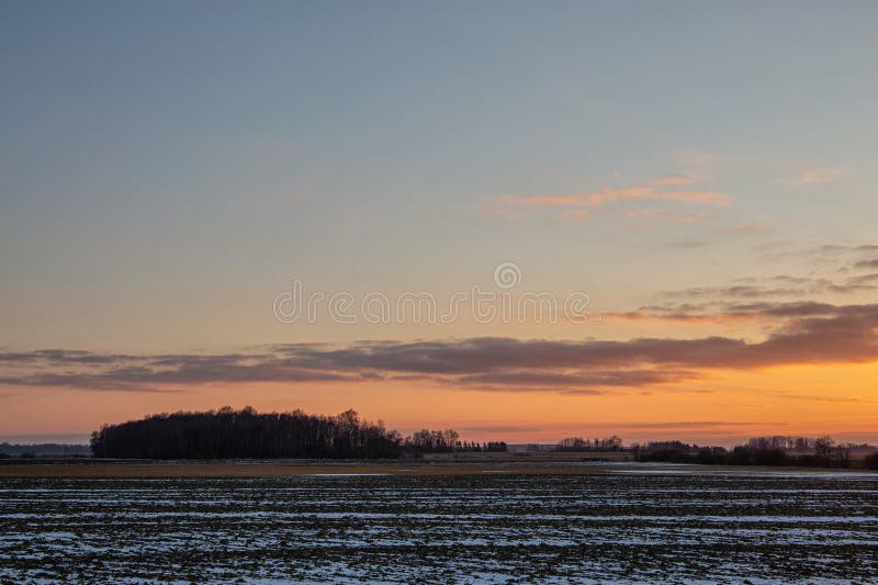 Cold Lithuanian Winter. the Fields are Illuminated by the Sunset. Stock ...
