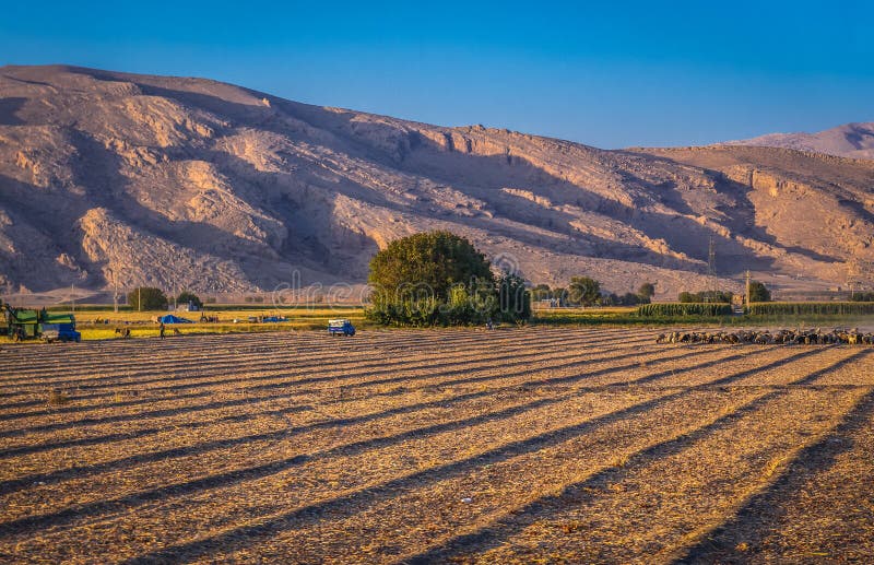 Field in Fars Province, Iran Editorial Image - Image of scenic, iranian ...