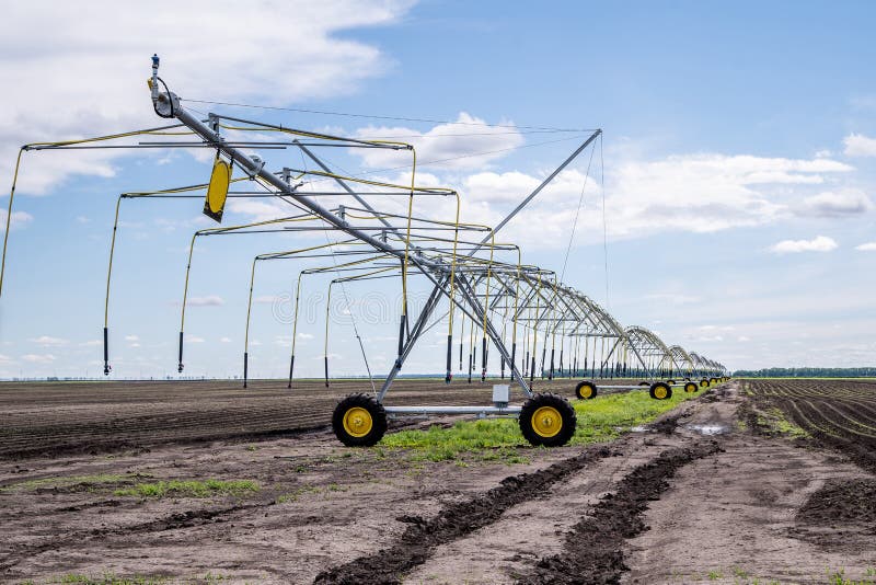 Fields with an Irrigation System Stock Image - Image of summer, spray ...