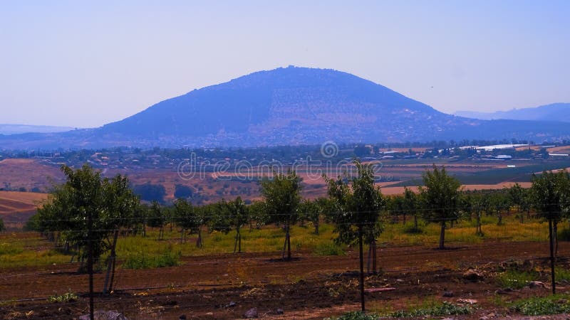 Fields in Yezreel Valley and Mount Tavor in the North of Israel. Stock ...