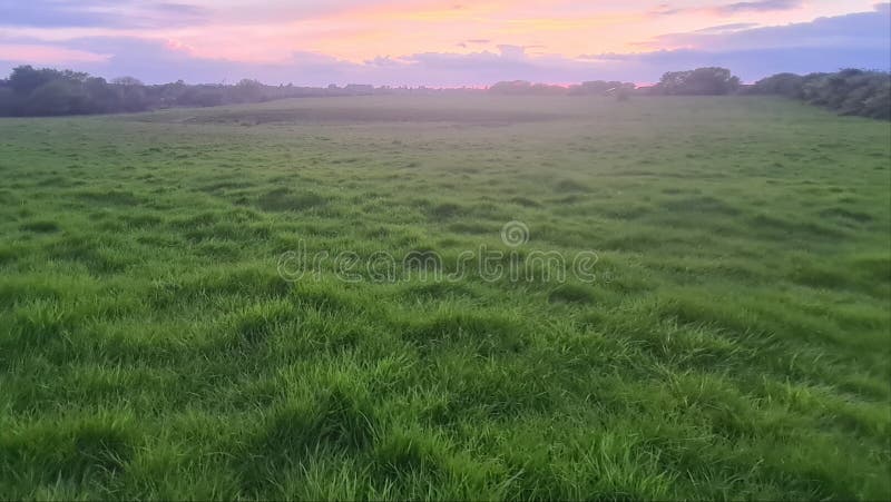 Fields of joy and peace stock photo. Image of plateau - 216663916