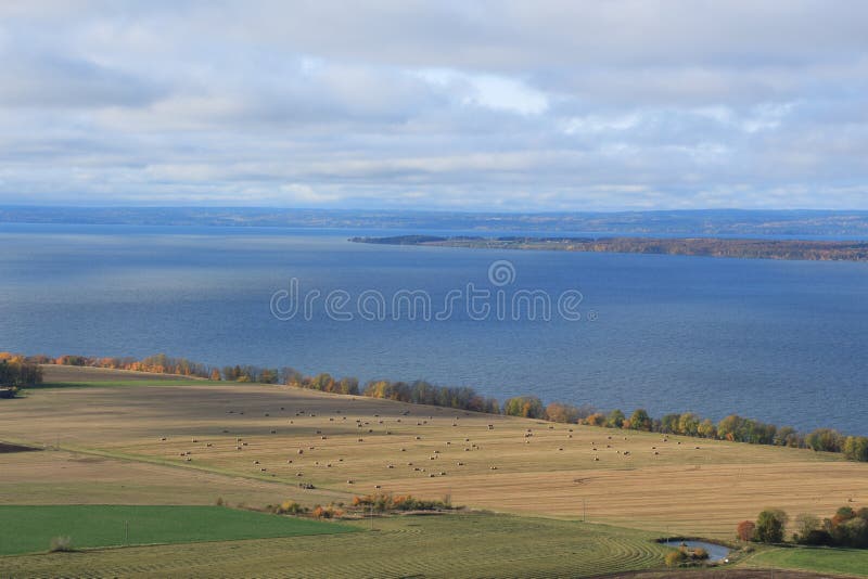 Fields on the lake shore stock photo. Image of pond - 104342112