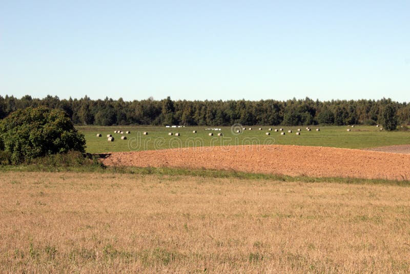 Fields and lands stock photo. Image of country, animal - 37277824