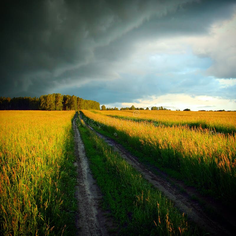 Fields Landscape stock image. Image of skyline, summer - 38224467