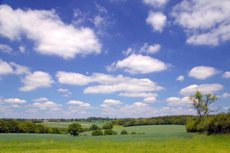 Fields landscape stock photo. Image of distant, meadow - 4719352