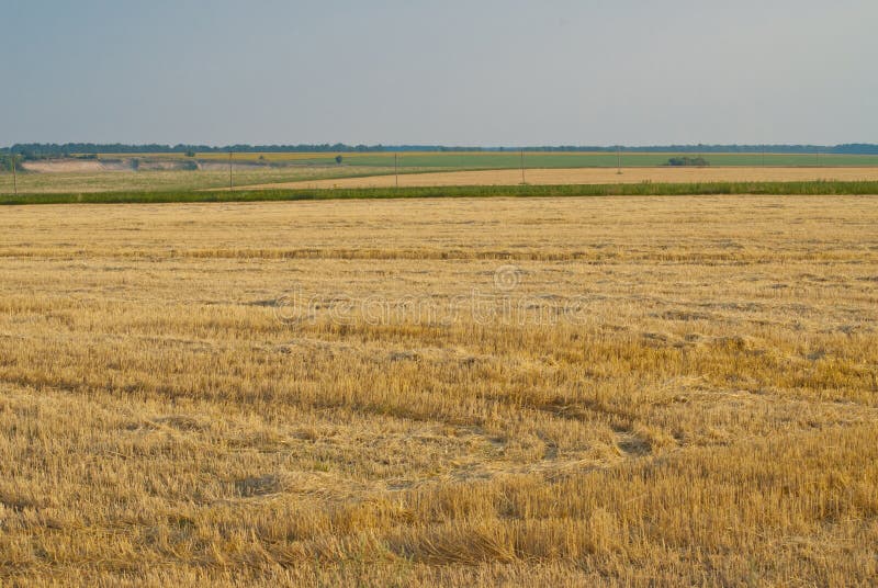 Fields in late summer stock photo. Image of rural, farmland - 58469656