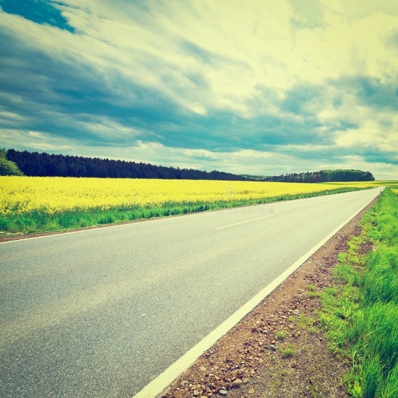 Fields of Lucerne stock image. Image of land, countryside - 41380897