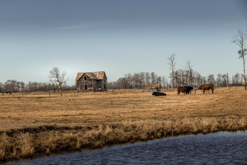 Fields Marshes Rustic Out Buildings Red Deer County Alberta Canada ...