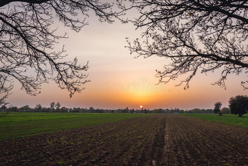 Fields in Masovia region stock photo. Image of grains - 108145070