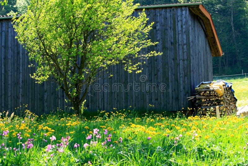 Fields and Meadows stock image. Image of farmhouse, agriculture - 13826751