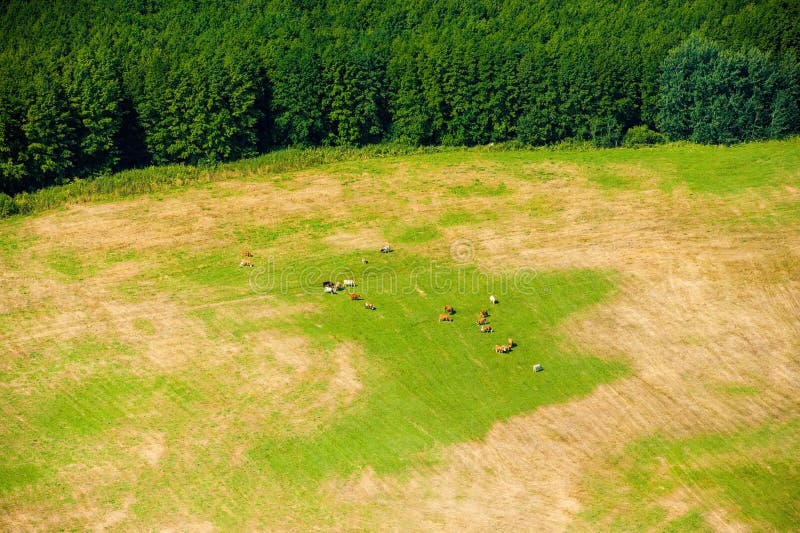 Fields and Meadows. Aerial View. Landscape. Stock Image - Image of ...