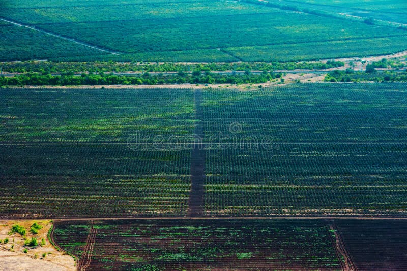 Fields and Meadows. Aerial View. Landscape Stock Image - Image of ...