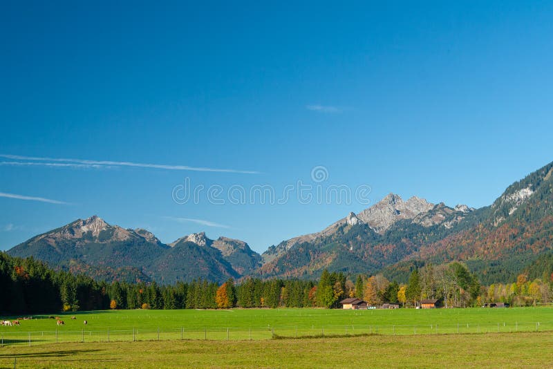 Fields and Meadows of Bavarian Alps, Germany Stock Image - Image of ...
