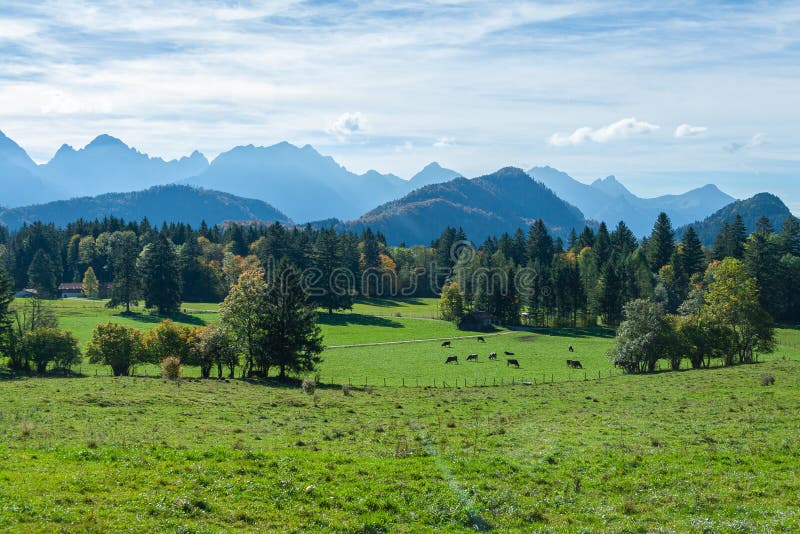 Fields and Meadows of Bavarian Alps, Germany Stock Photo - Image of ...