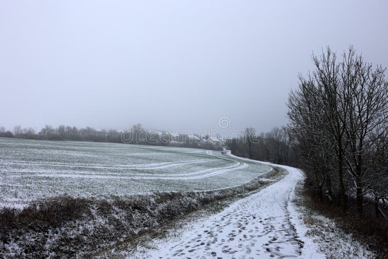 Fields and Meadows on a Frosty Winter Morning Stock Image - Image of ...