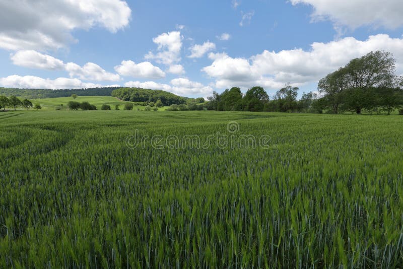 Fields and Meadows in Germany Stock Image - Image of germany ...