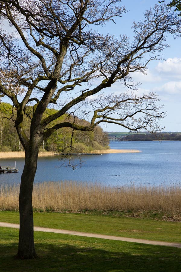 Fields and Meadows of Jutland Stock Image - Image of green, cloud: 71374367