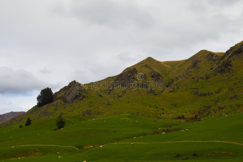 Fields and Meadows stock photo. Image of fields, clouds - 82855616