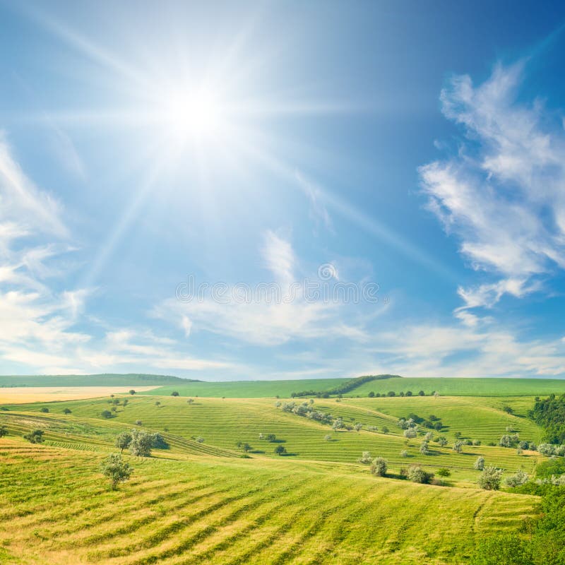 Fields and Meadows at Sunset Stock Image - Image of culture, field ...