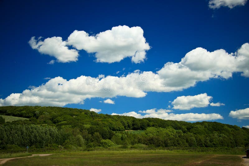 Fields and Meadows of Rural Denmark Stock Image - Image of outdoor ...