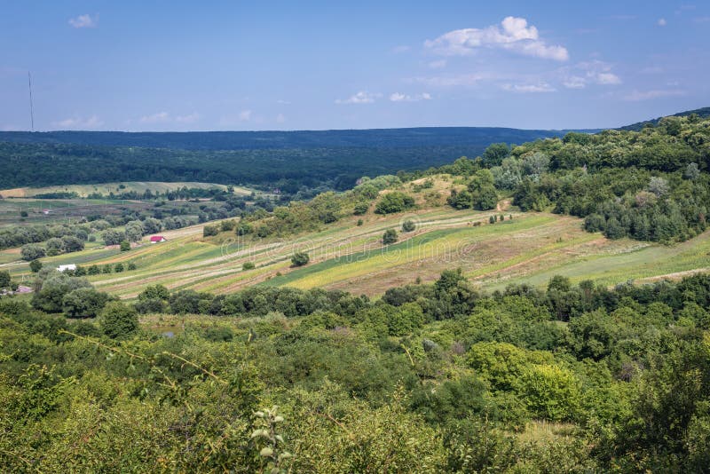 Fields in Moldova stock photo. Image of republica, region - 174333140