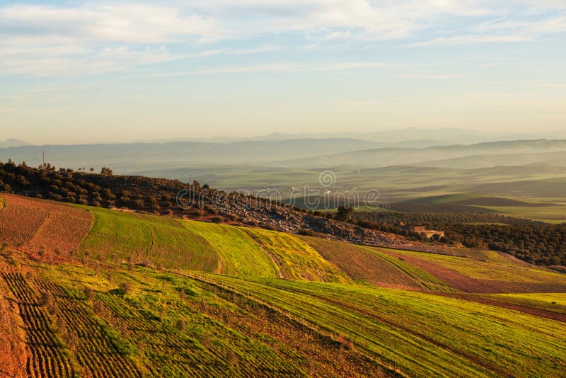 Fields in Morocco stock photo. Image of farming, green - 54168952
