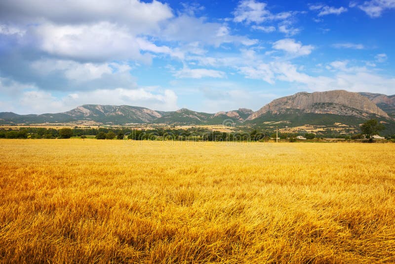 Fields at mountain valley stock photo. Image of meadow - 36083750