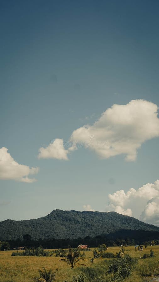 Fields and mountains stock image. Image of nature, hill - 276473207