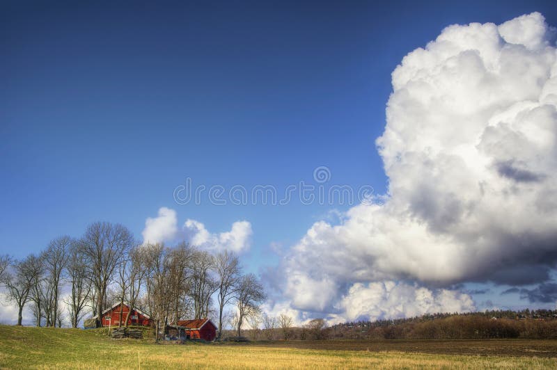 The Fields Near Alby on Jeløy in Moss, Norway Stock Image - Image of ...