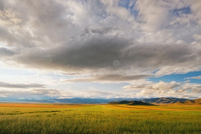 Fields and Open Spaces in the Steppes of Tuva Against the Background of ...
