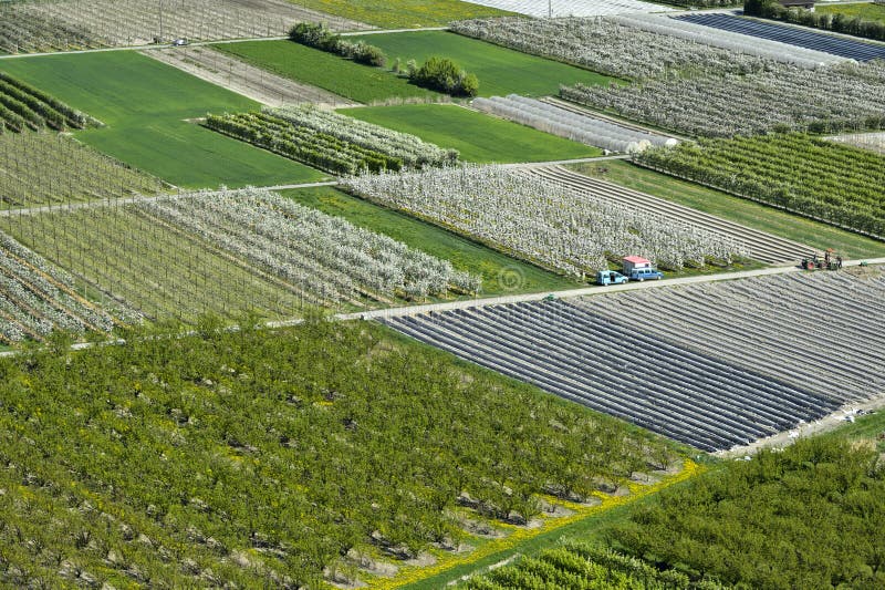 Fields and Plantations for Growing Fruit and Vegetables in Spring Stock ...