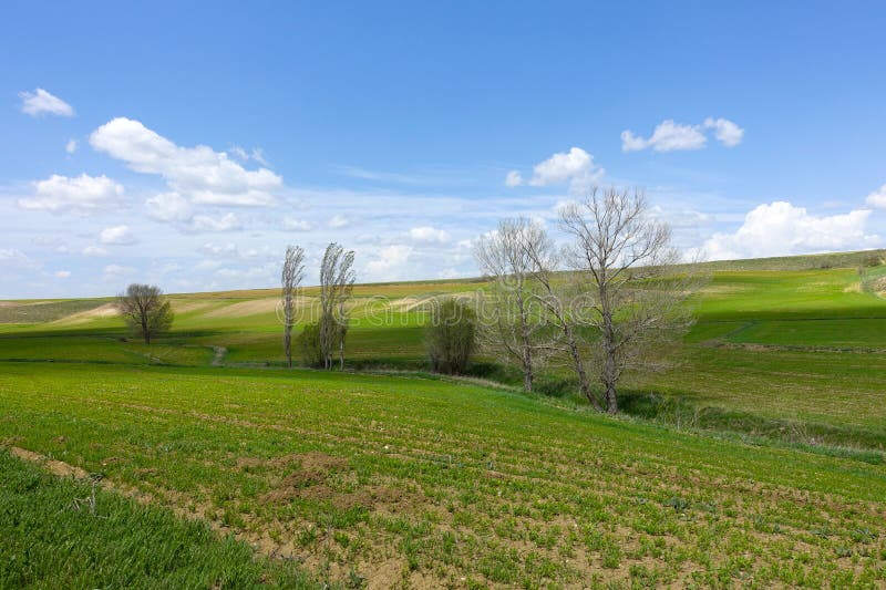 Fields Planted with Agricultural Products and Natural Nature Scenery ...