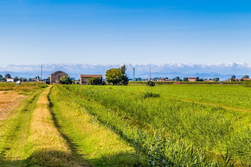 Fields in the Po valley stock photo. Image of farmland - 61573218
