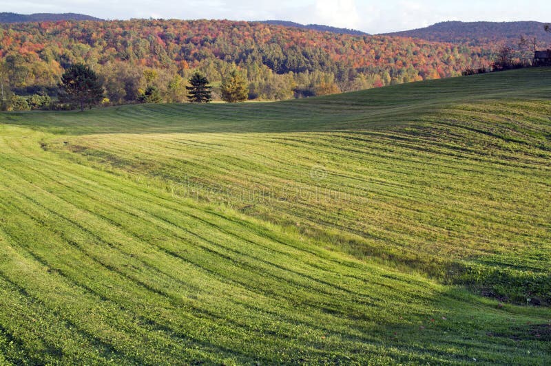 Fields in Quebec in autumn stock image. Image of brilliant - 69630605