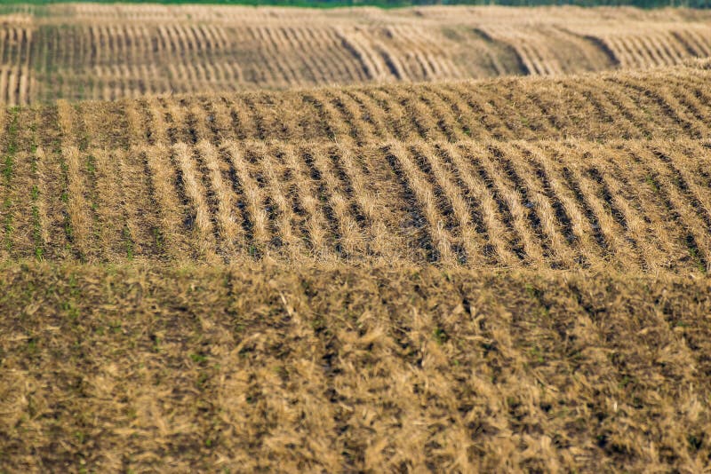 Fields Ready for Planting 1 Stock Photo - Image of canada, kissed ...