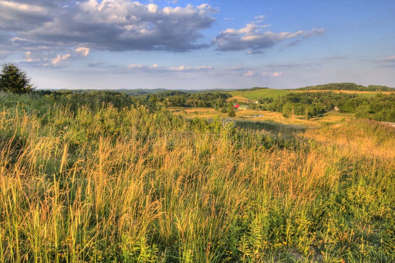 Fields in a Rural Landscape in an Early Summer Evening, Ohio Stock ...