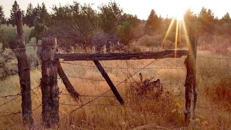 High Desert sage stock image. Image of grass, ecoregion - 97740507
