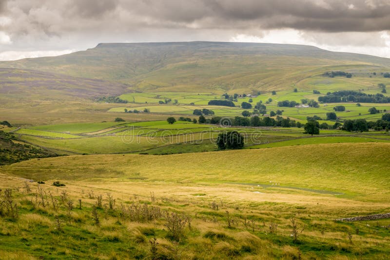Fields and Sheep on Farm Land in a Valley with Rain Clouds Stock Photo ...