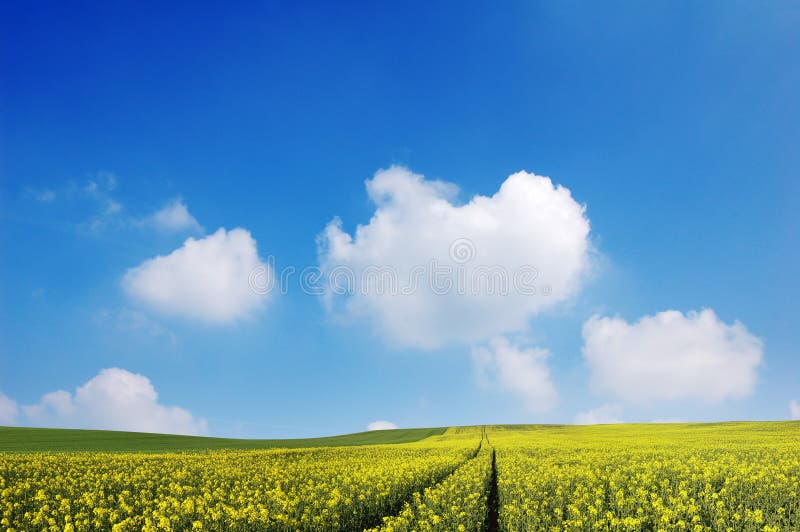 Fields and Sky stock image. Image of outdoors, earth, heavens - 2233887
