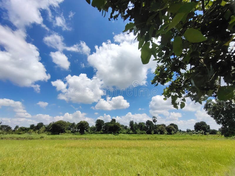 Fields, Sky, Clouds, and Good Weather. Stock Image - Image of clouds ...